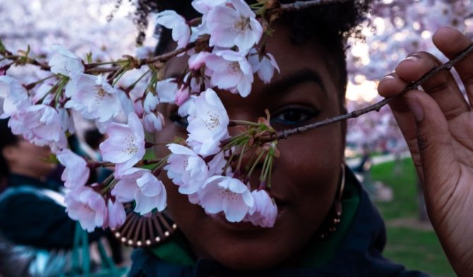 Discovering a New Pathway Forward | Kimberly Miller-Pryce’s Film ...